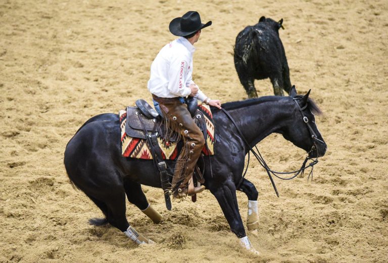 Accomplishments - BadBoonaRising