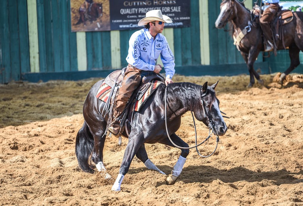 Contact - BadBoonaRising