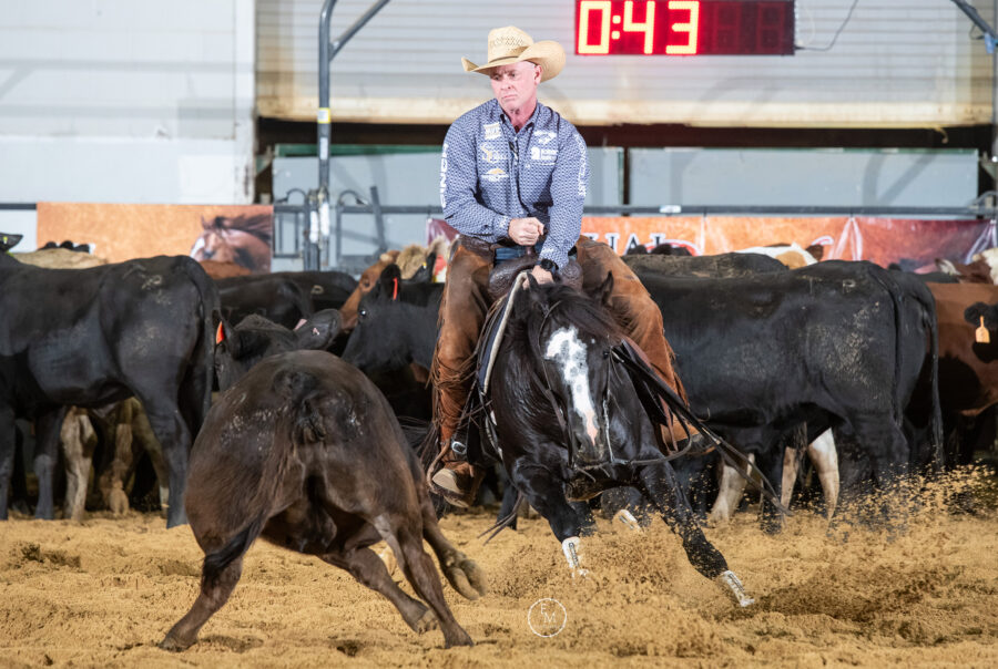 Badboonarising - Family Royalty